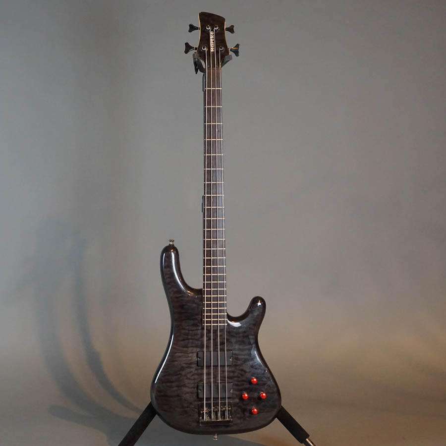 Electric 4 String