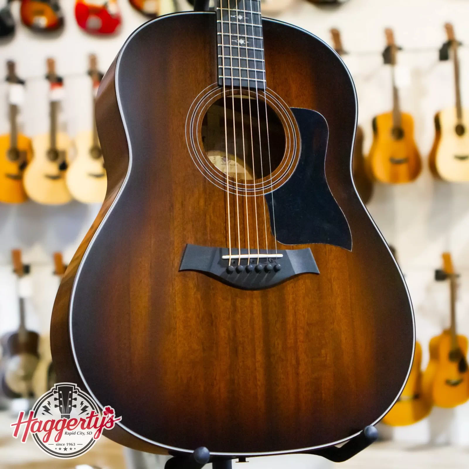 Taylor 300 Series