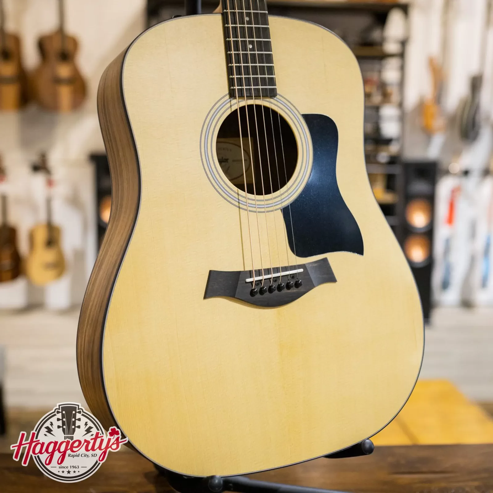 Taylor 100 Series