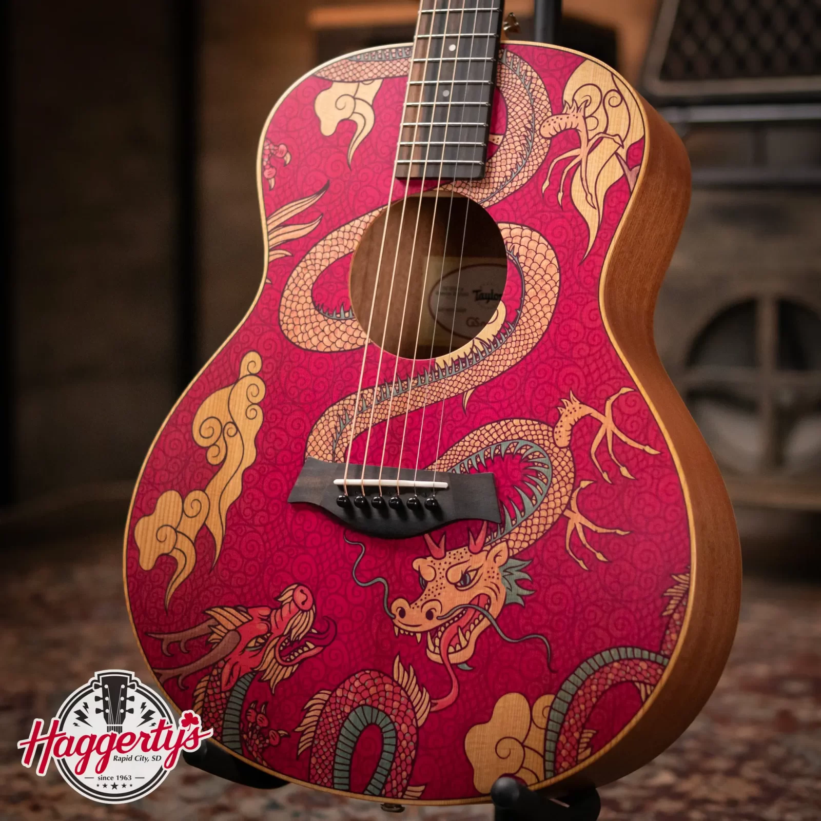 Taylor Beginner Guitars