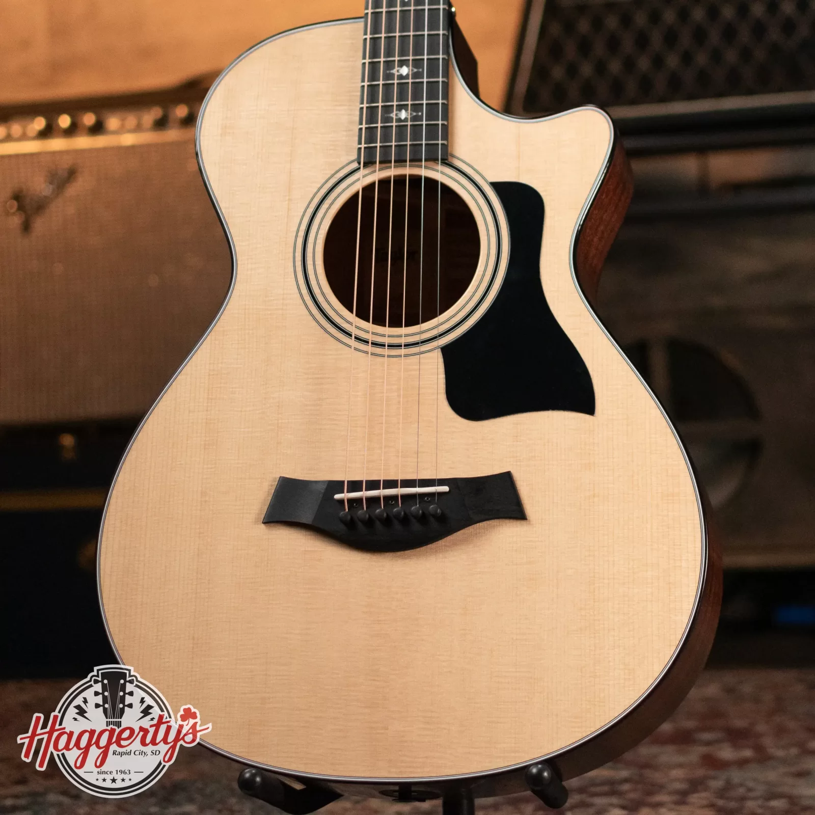 Taylor 300 Series