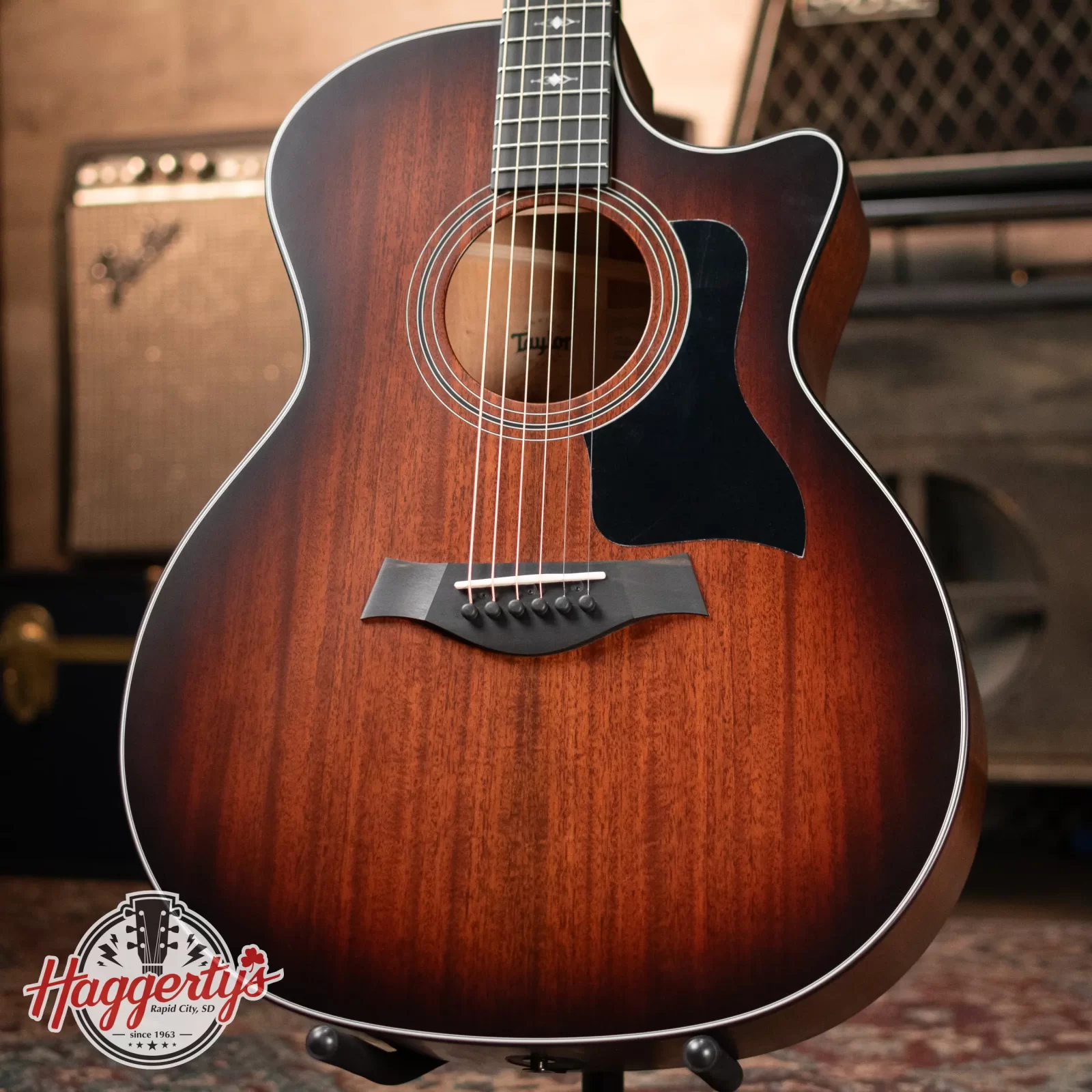 Taylor 300 Series