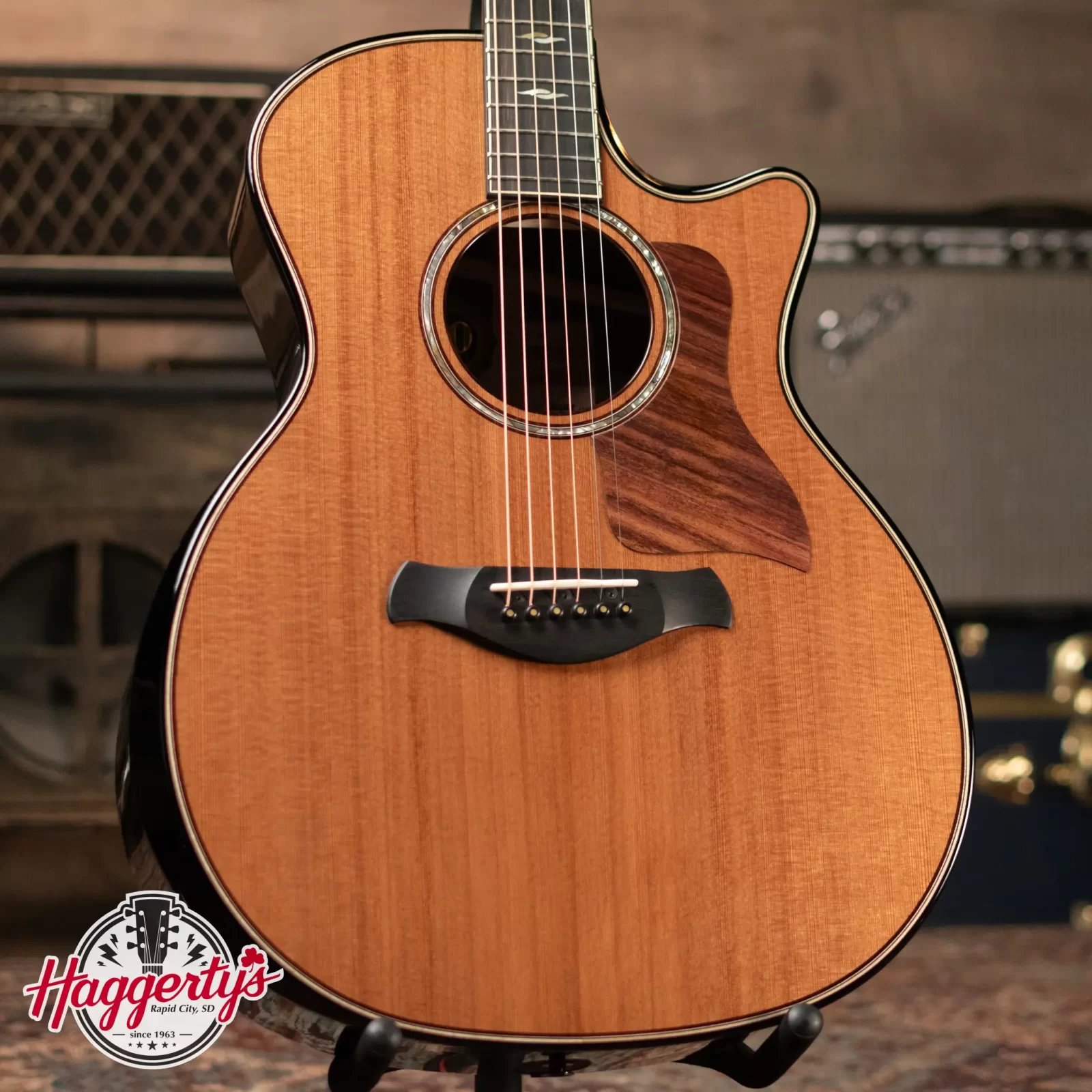 Taylor 800 Series