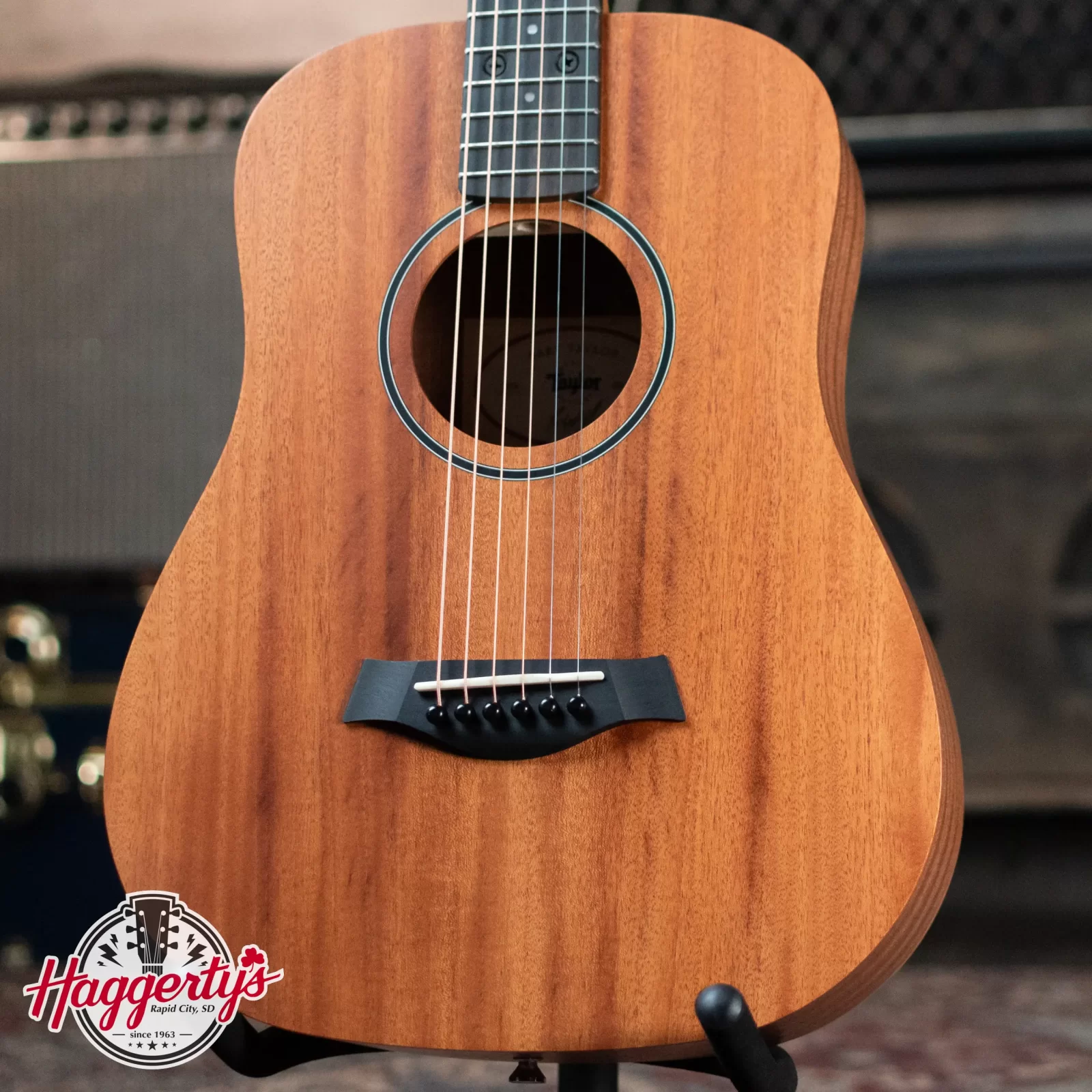Taylor Beginner Guitars