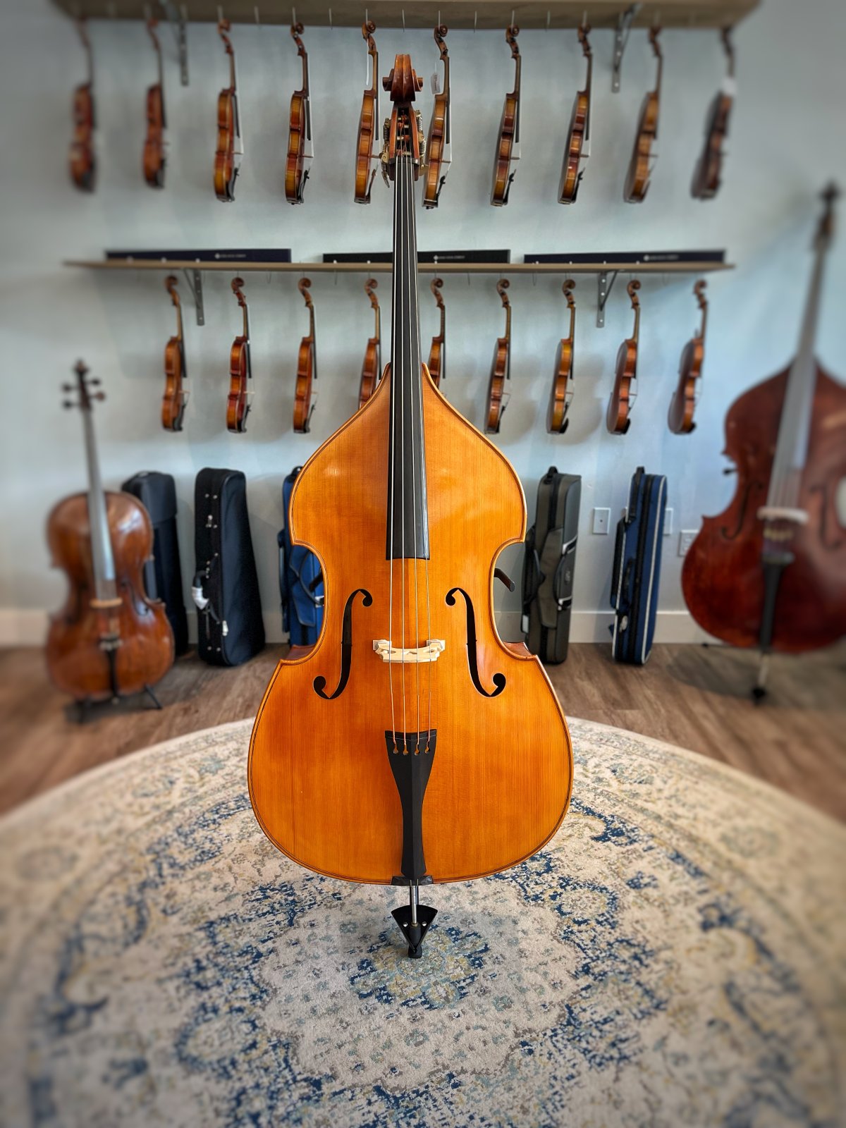 What Is A Stand Up Bass At Philip Ayala Blog