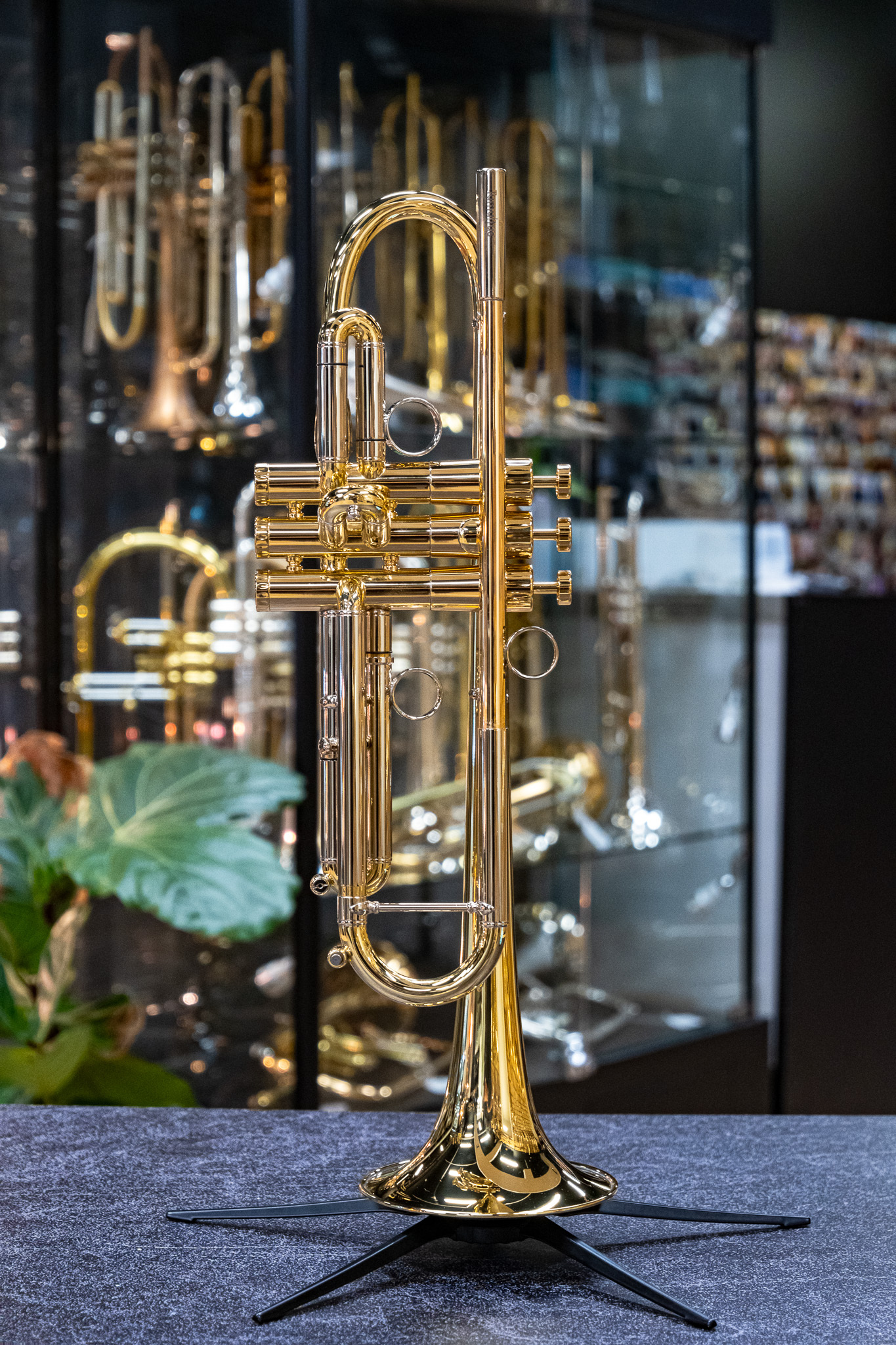 Martin Bohme Tumultus (M Bell, Yellow Brass, Lacquer) - New