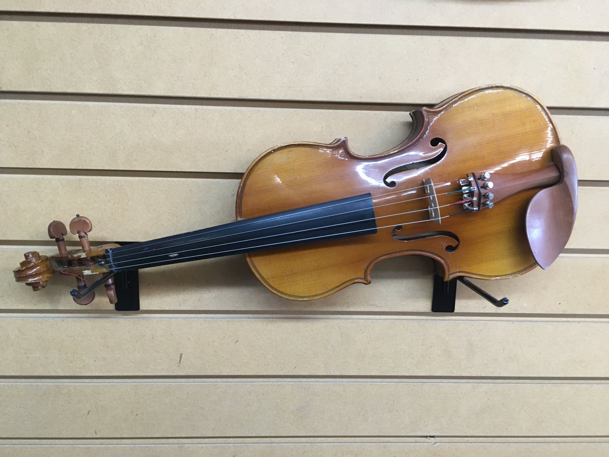 Stringed Instruments